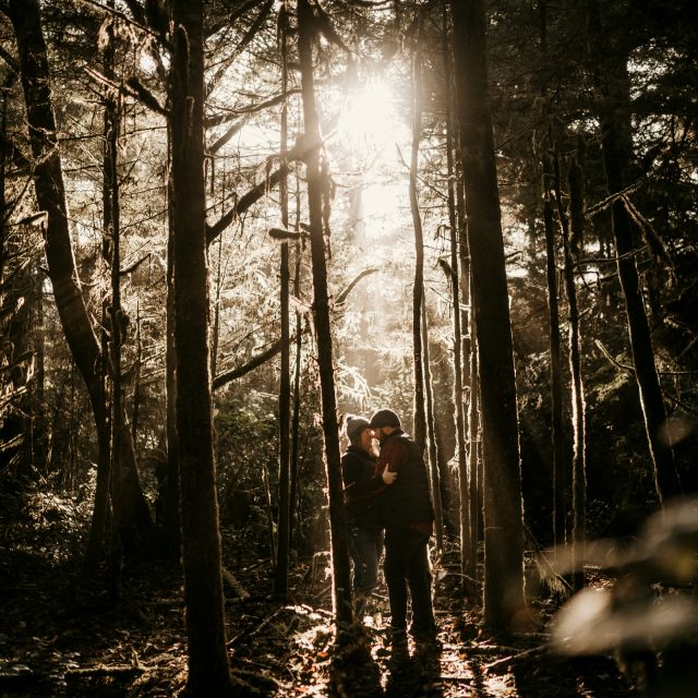 Home - Jen McLeod Photography